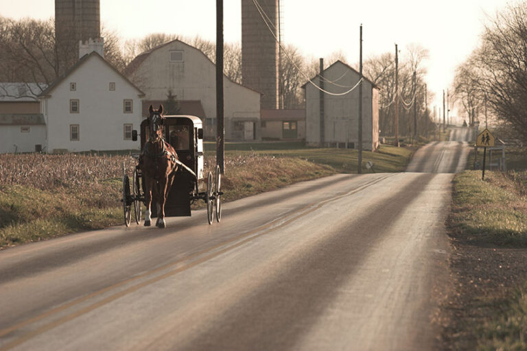 Buggy Rides an Authentic Amish Experience | AmishView Inn