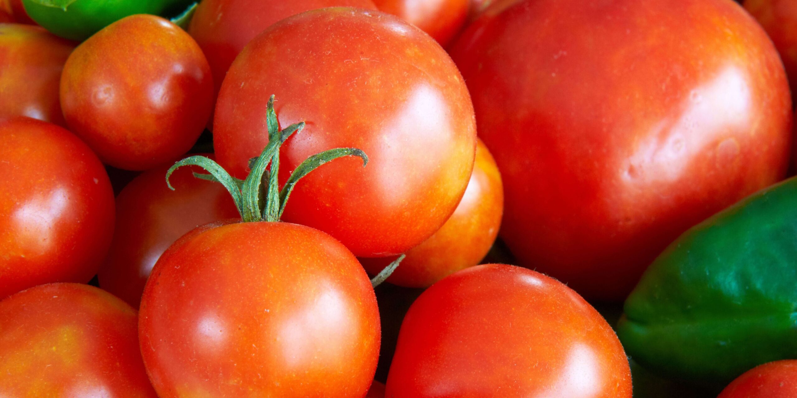 Enjoy Lancaster Farm-to-Table Food in Amish Country