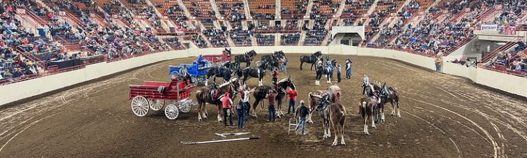 Lancaster County Fairs and Farm Shows | AmishView Inn