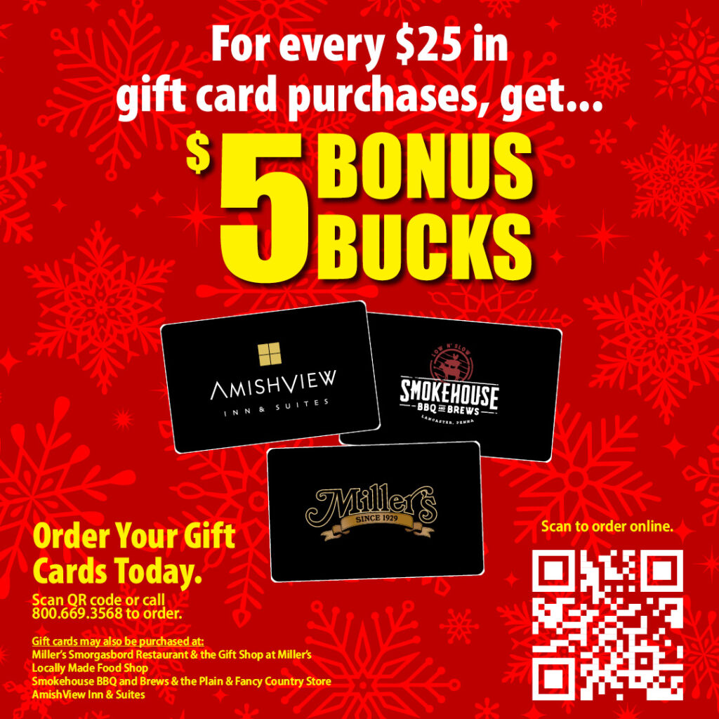 Special Packages, Offers & Coupons | AmishView Inn & Suites